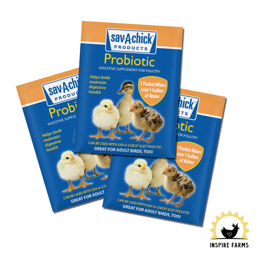Sav-A-Chick Probiotic Supplement — Inspire Farms